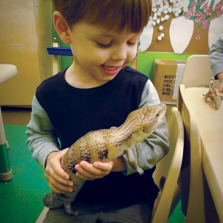 New Science Focused School Will Have Onsite Real Dragons – A Child Grows
