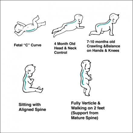 Tummy Time for a Healthy Body and Mind – A Child Grows