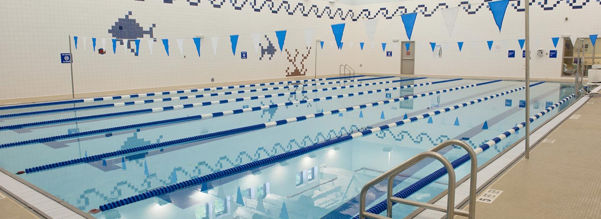 Best Brooklyn Swimming Pools 2019 – A Child Grows