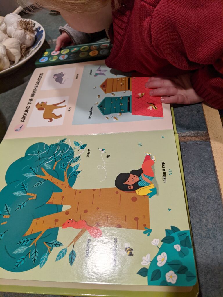 For the Love of a Button Book – A Child Grows